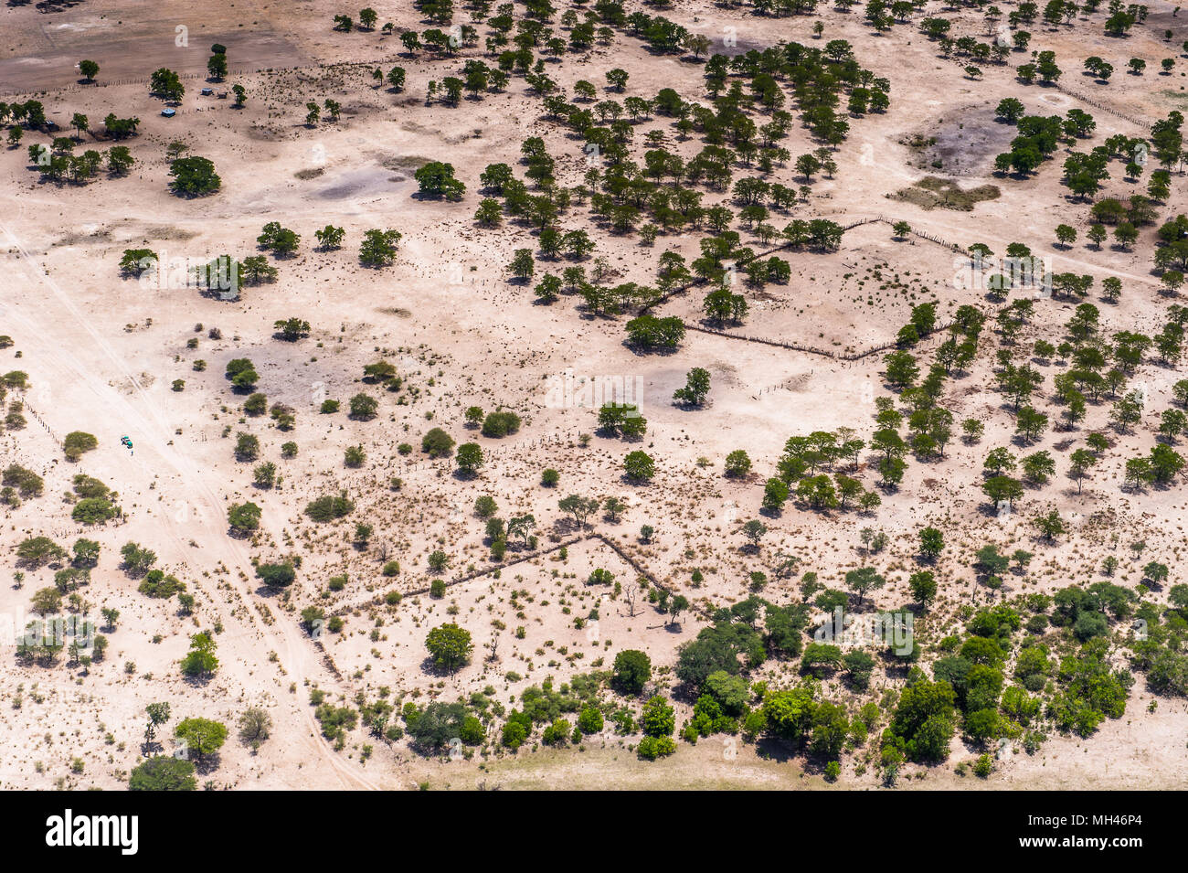 Aerial view of nature of Botswana, Africa Stock Photo - Alamy
