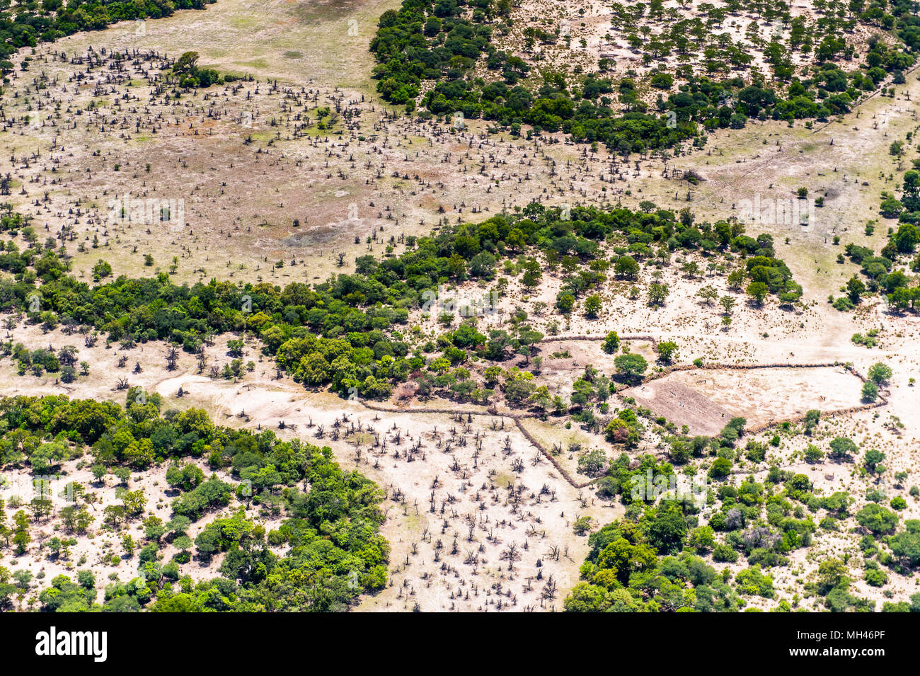 beautiful aerial view of the Okavango Delta (Okavango Grassland), One ...