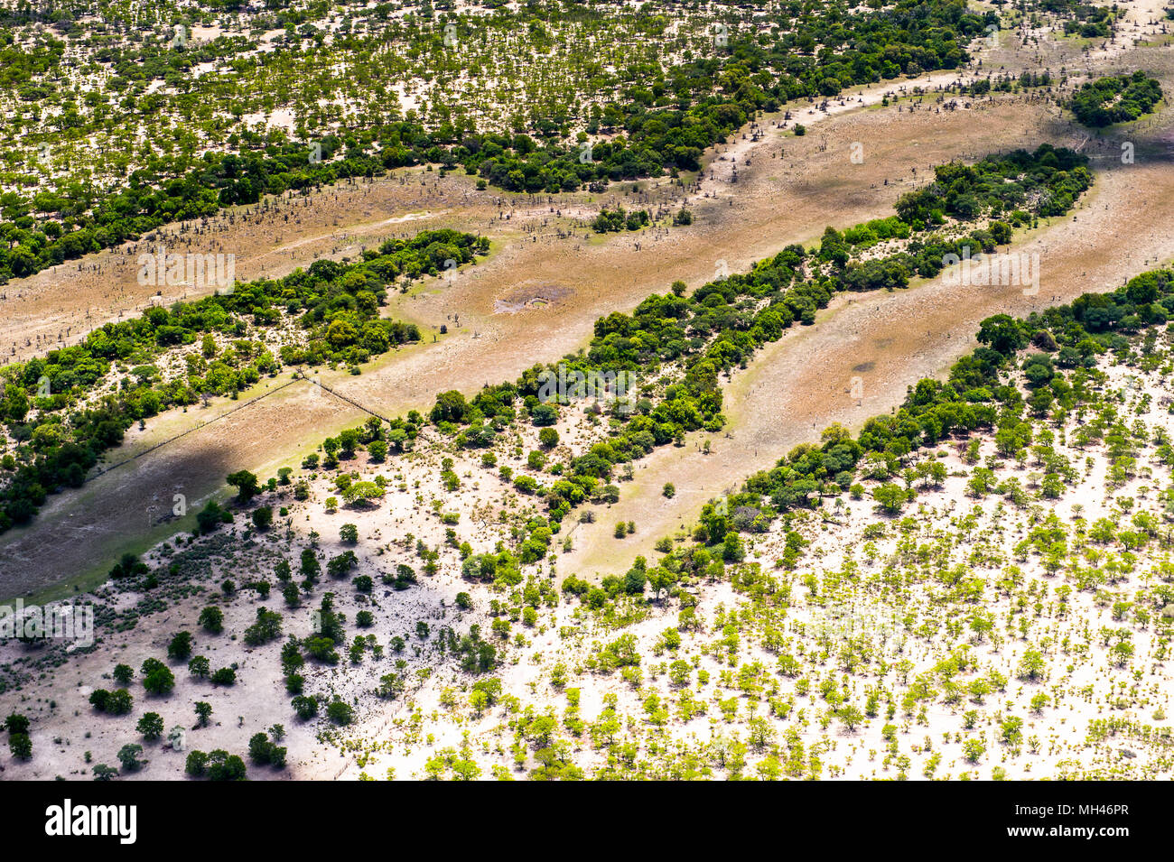 beautiful aerial view of the Okavango Delta (Okavango Grassland), One ...