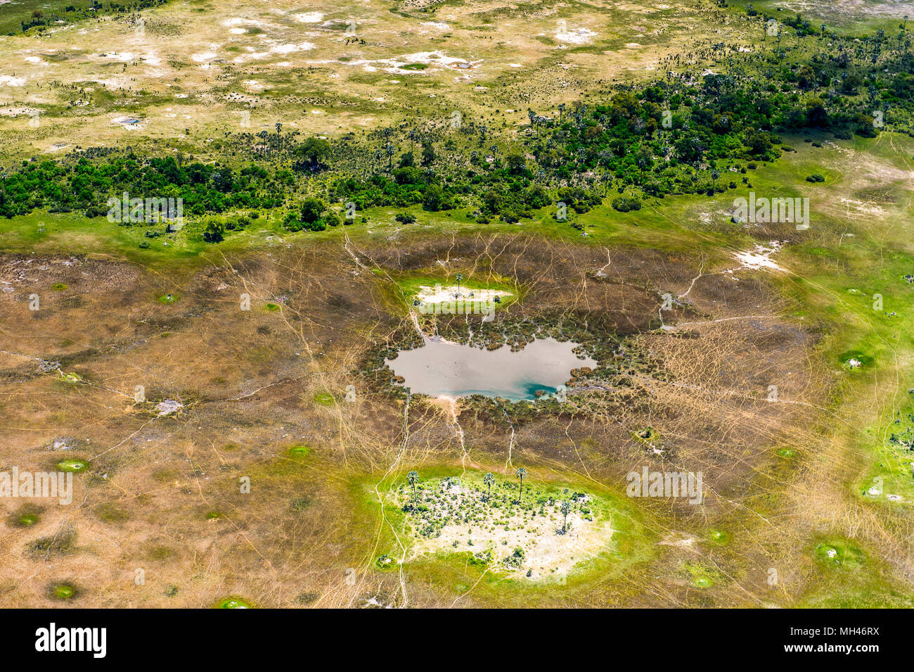 beautiful aerial view of the Okavango Delta (Okavango Grassland), One ...
