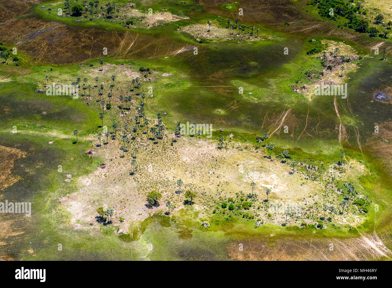 beautiful aerial view of the Okavango Delta (Okavango Grassland), One ...