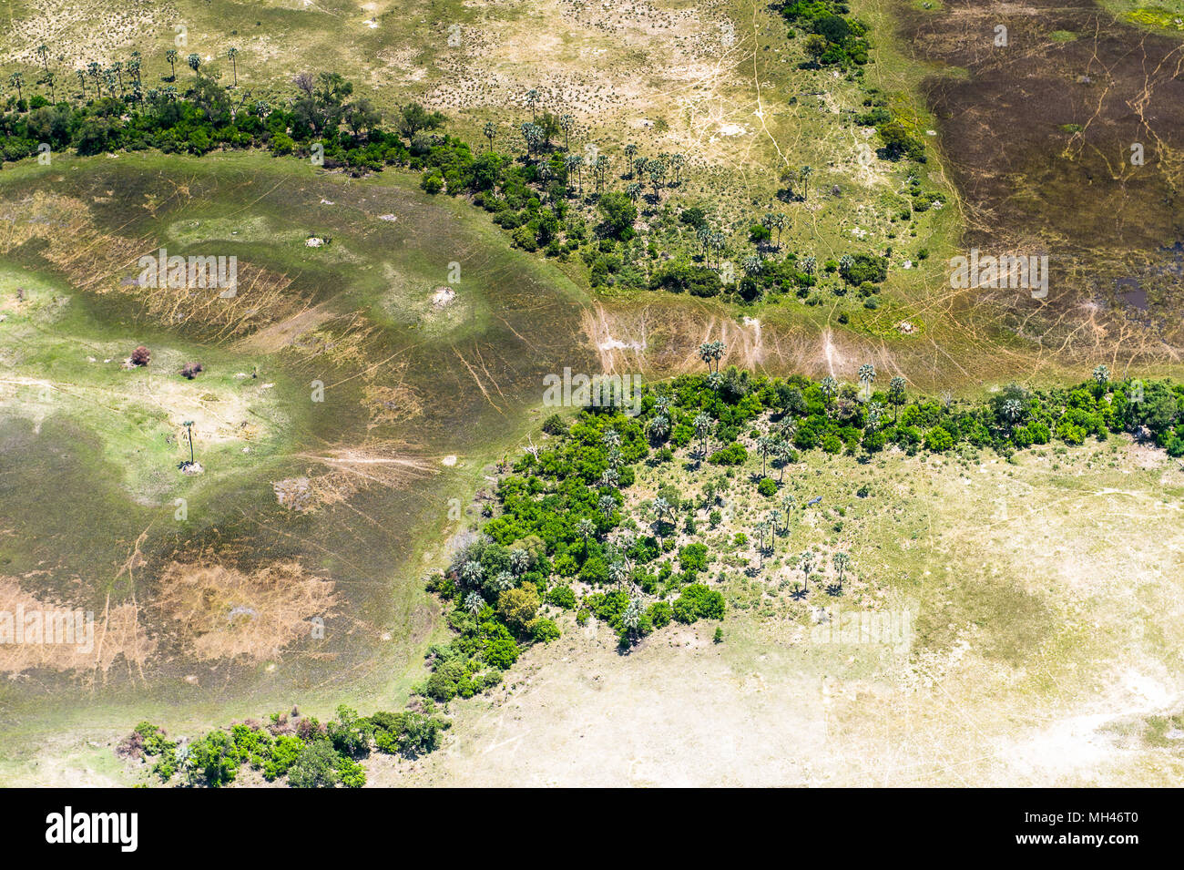 beautiful aerial view of the Okavango Delta (Okavango Grassland), One ...