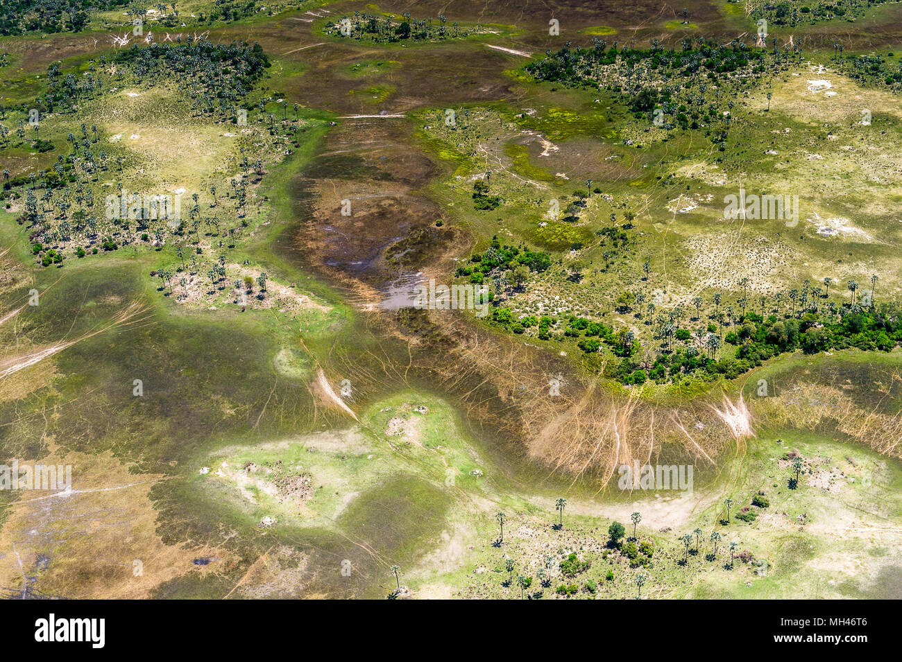 beautiful aerial view of the Okavango Delta (Okavango Grassland), One ...