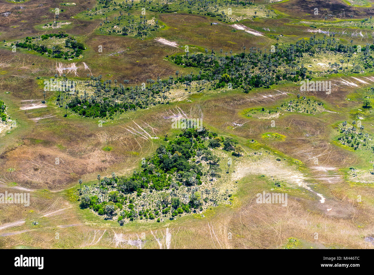 beautiful aerial view of the Okavango Delta (Okavango Grassland), One ...