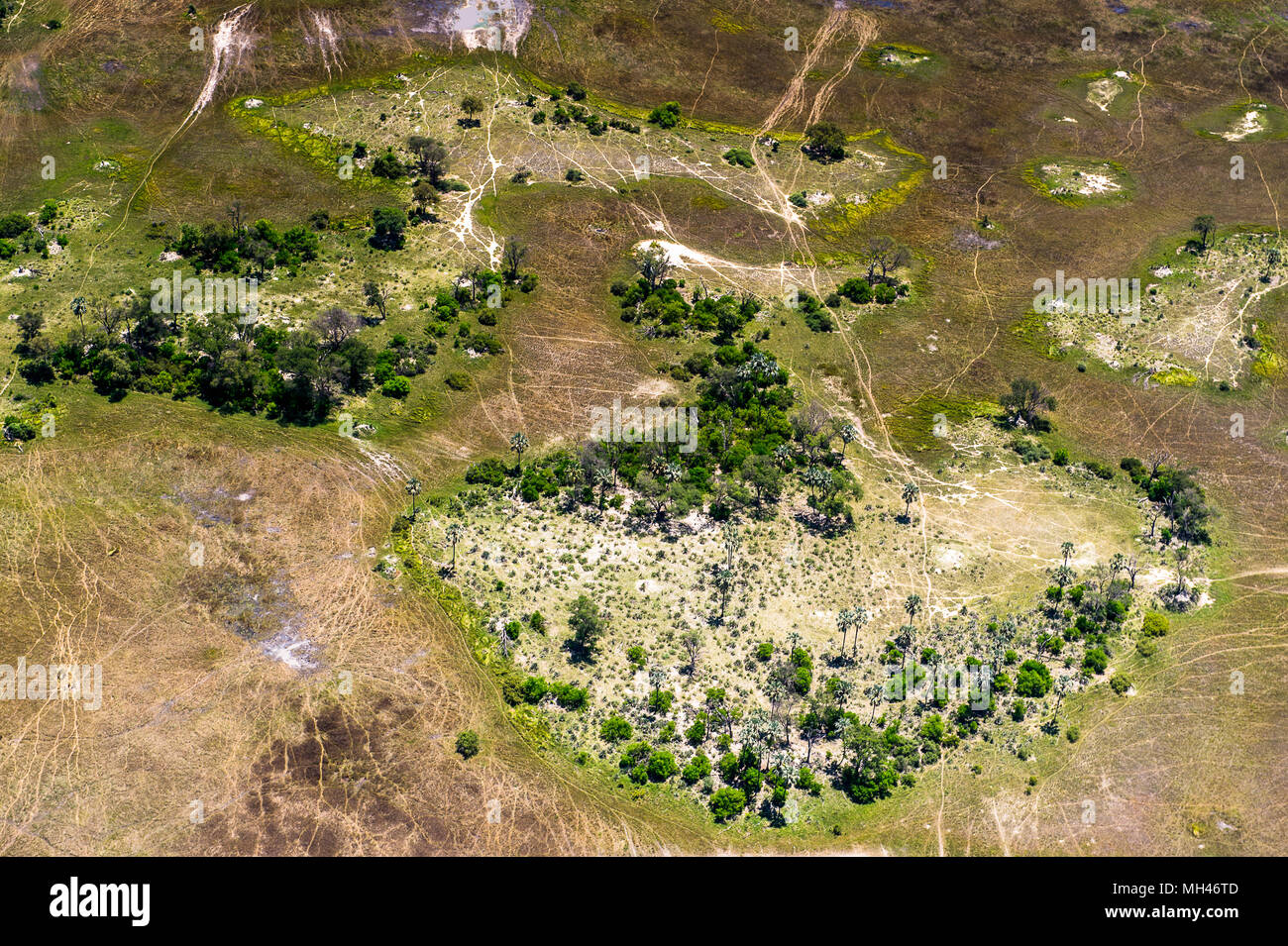 beautiful aerial view of the Okavango Delta (Okavango Grassland), One ...