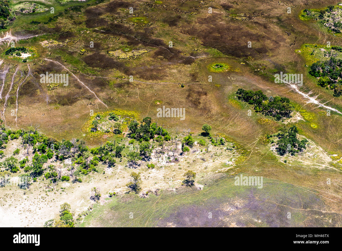 beautiful aerial view of the Okavango Delta (Okavango Grassland), One ...