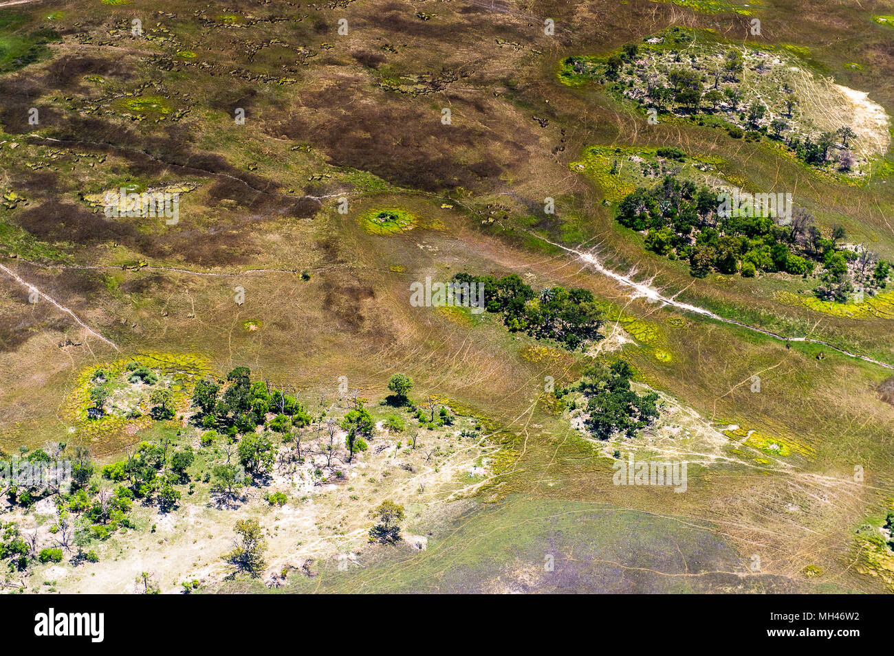 beautiful aerial view of the Okavango Delta (Okavango Grassland), One ...