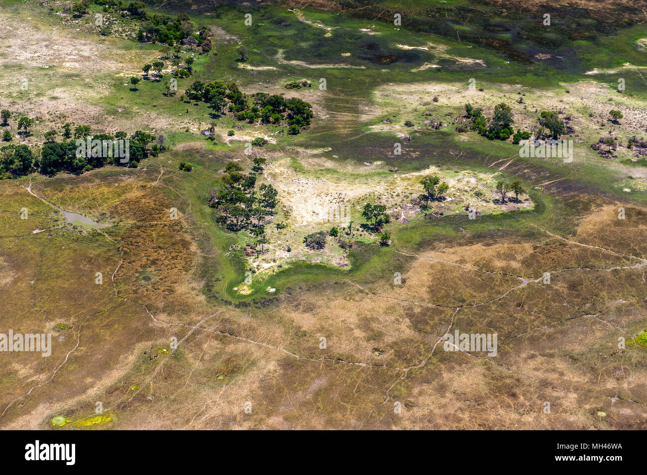 beautiful aerial view of the Okavango Delta (Okavango Grassland), One ...