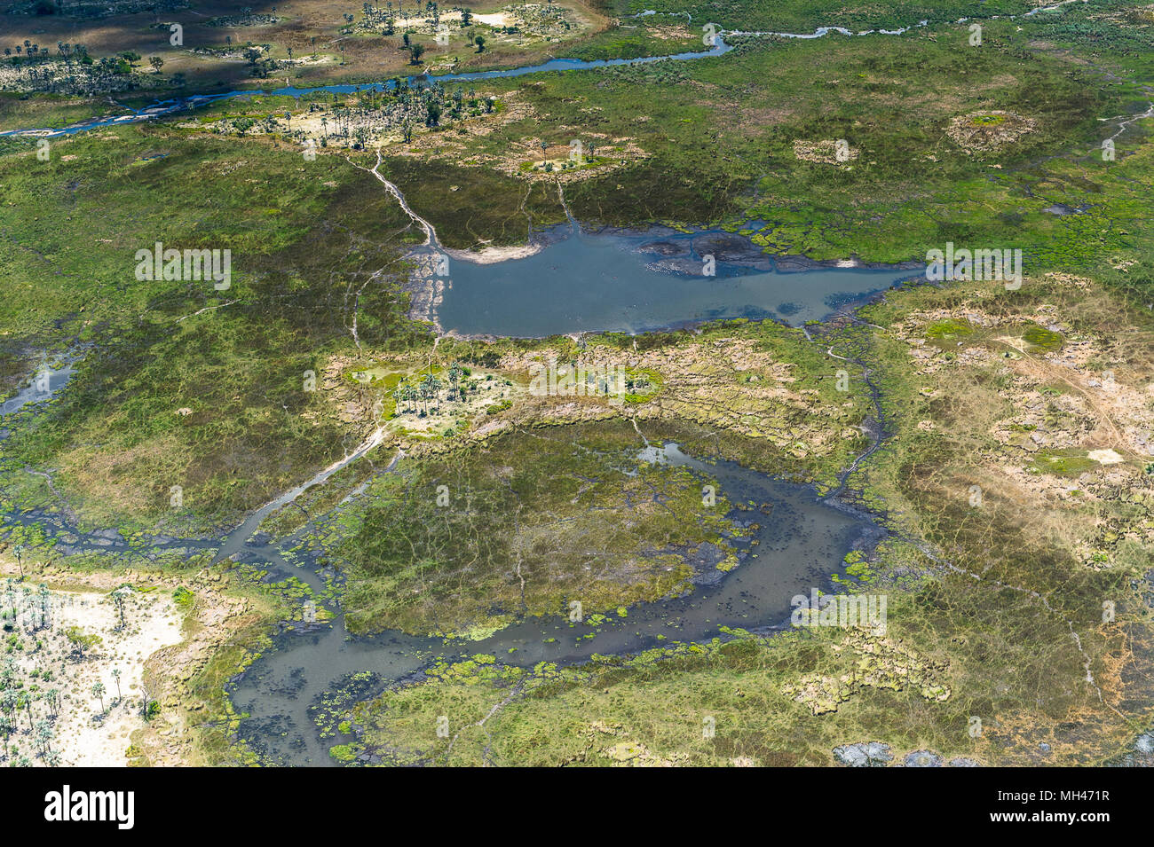 beautiful aerial view of the Okavango Delta (Okavango Grassland), One ...