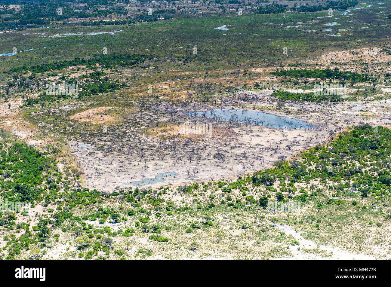 Beautiful aerial view of the Okavango Delta (Okavango Grassland), One ...