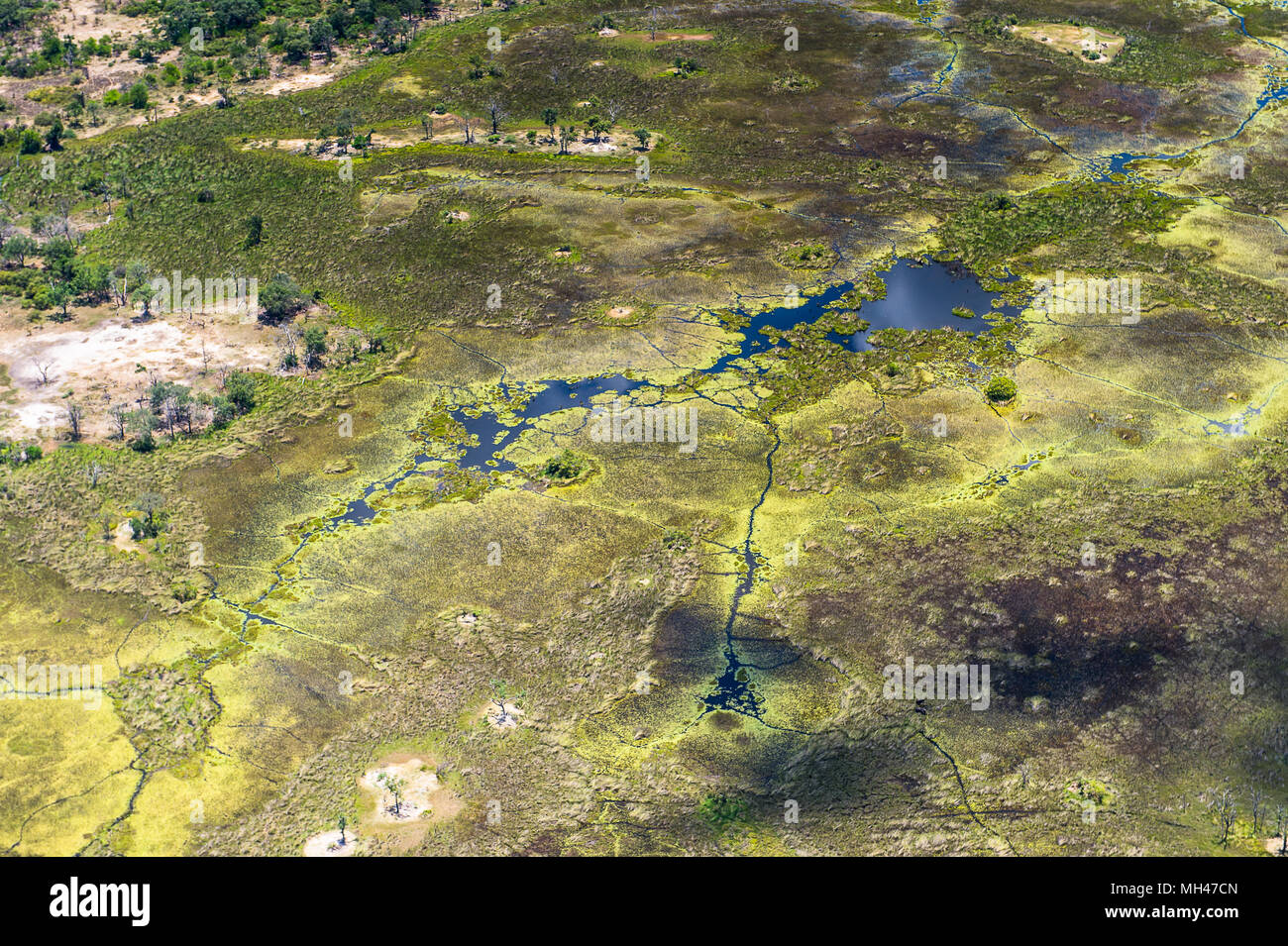 Beautiful aerial view of the Okavango Delta (Okavango Grassland), One ...