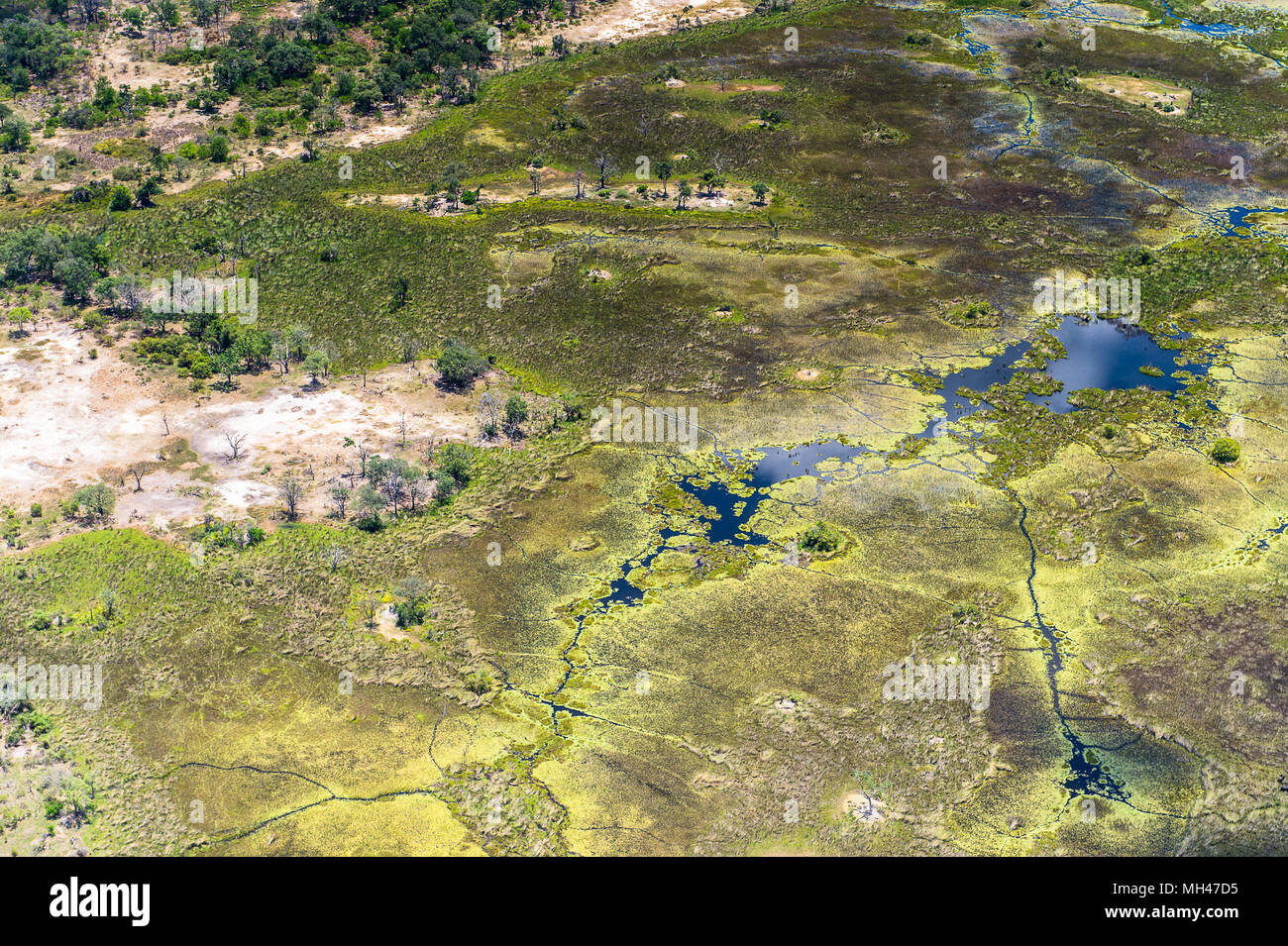 Beautiful aerial view of the Okavango Delta (Okavango Grassland), One ...