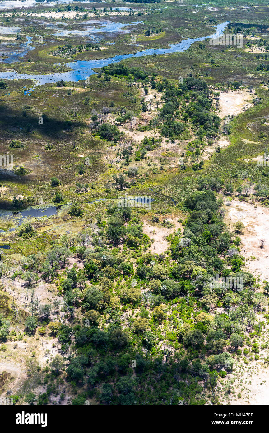 Beautiful aerial view of the Okavango Delta (Okavango Grassland), One ...
