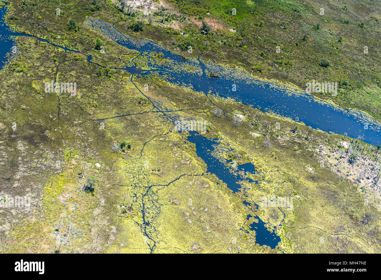 Beautiful aerial view of the Okavango Delta (Okavango Grassland), One ...