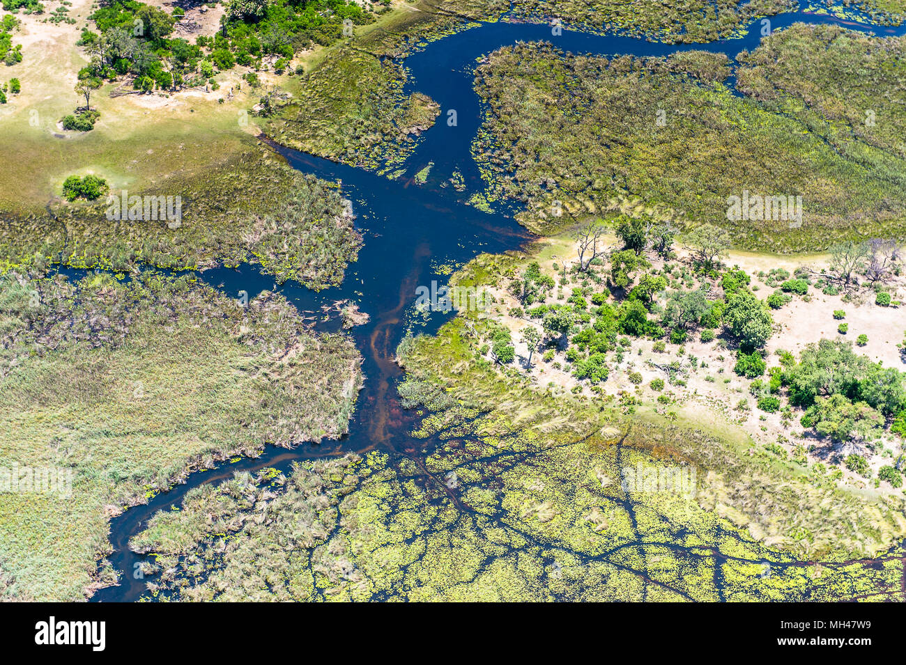 Aerial panoramic view of the Okavango Delta (Okavango Grassland), One ...
