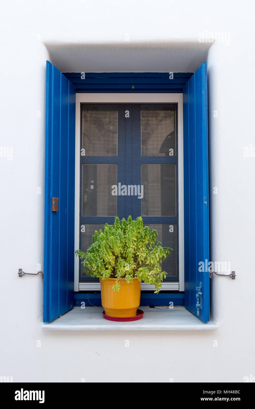 Greek pot plant hi-res stock photography and images - Alamy