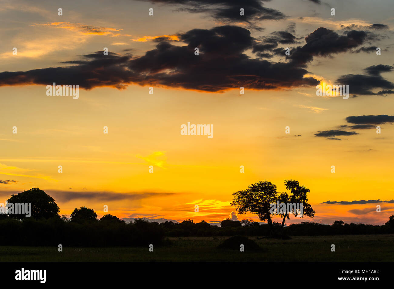Beautiful sunset over the Okavango Delta (Okavango Grassland), One of ...