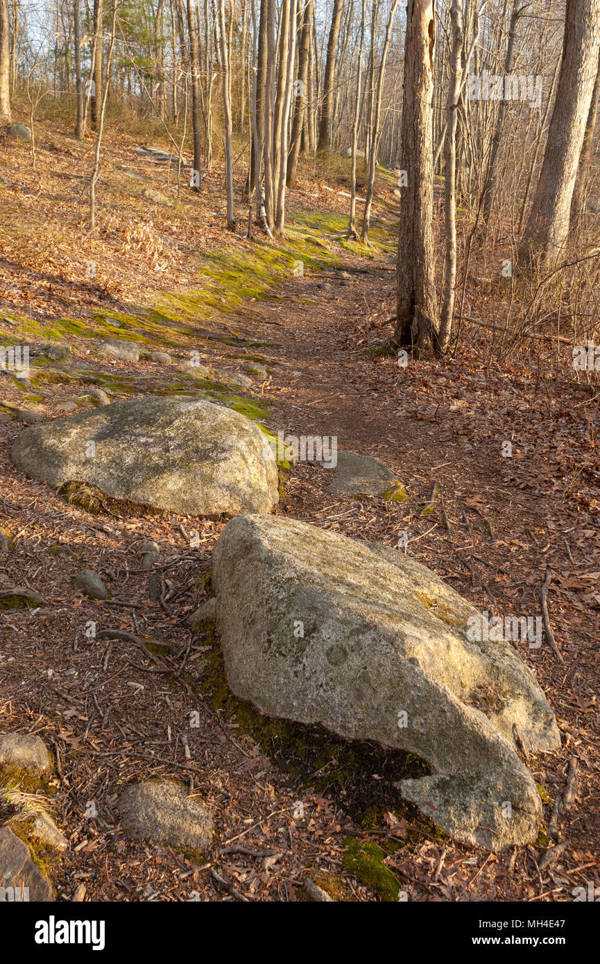 Hiking trail through bare backcountry forest in early spring. Pond ...