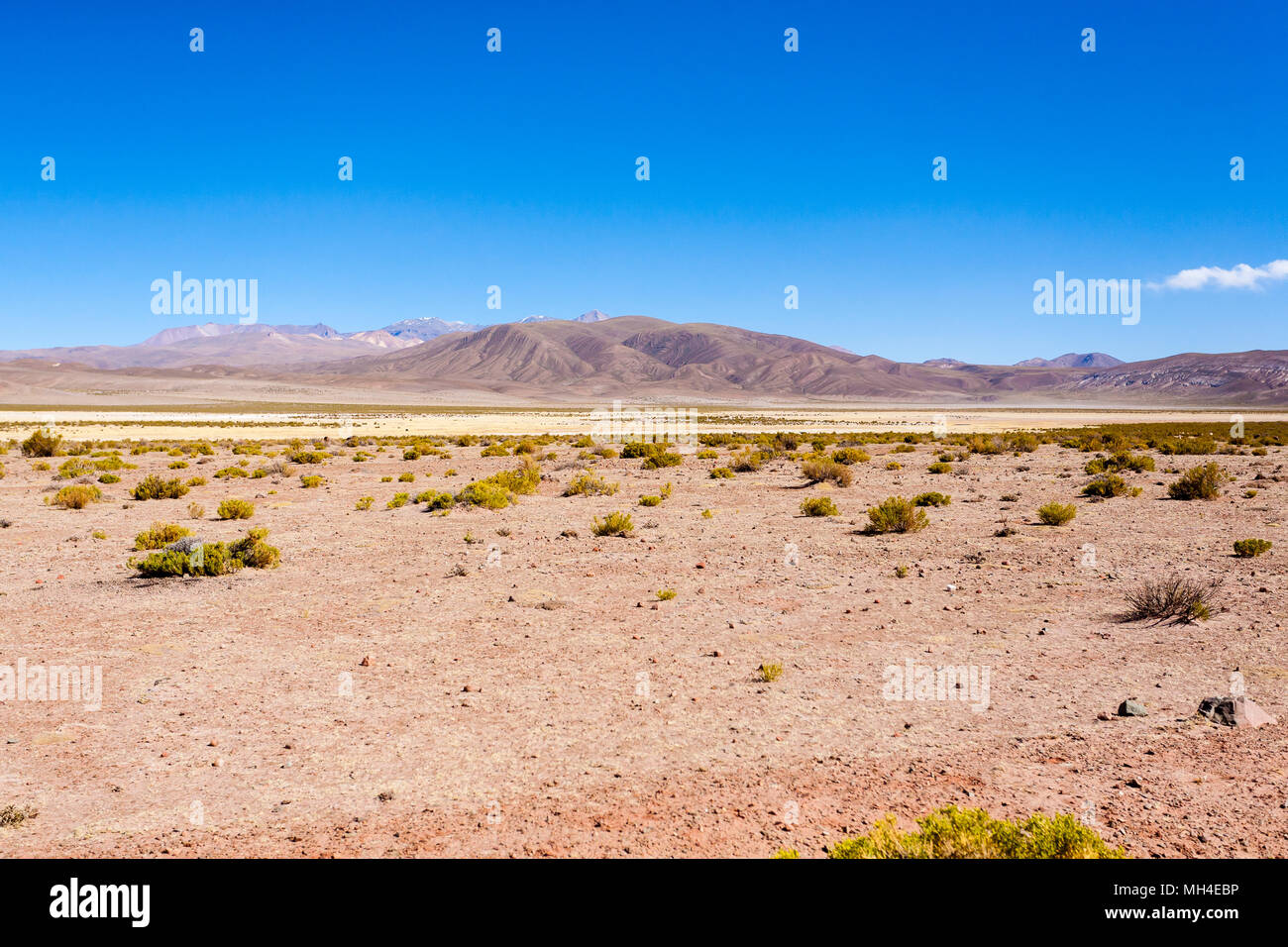 Bolivian mountains landscape,Bolivia.Andean plateau view Stock Photo ...