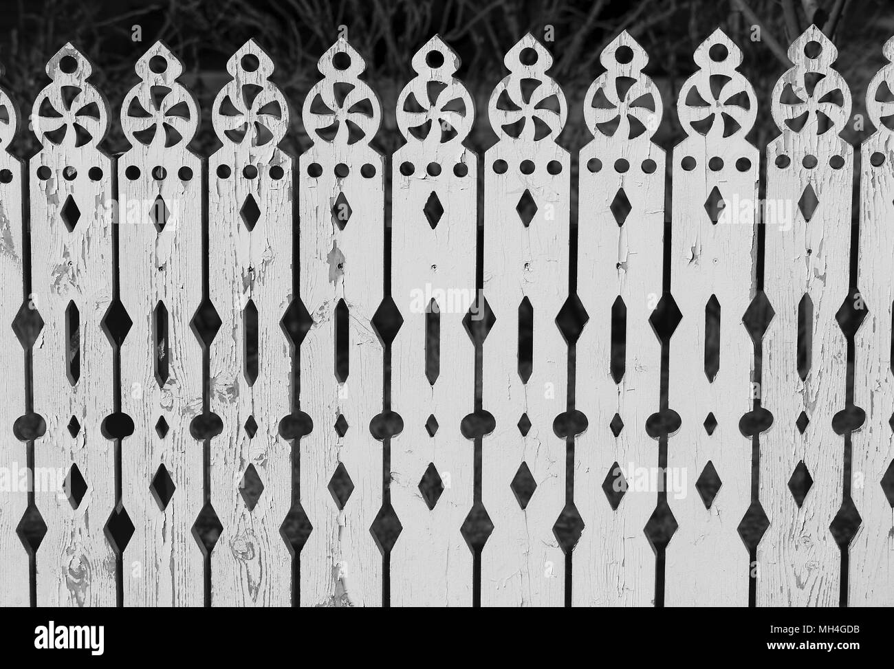 Photo young tree in Black and White Stock Photos & Images - Alamy