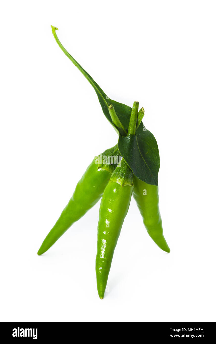 green chili on white background Stock Photo - Alamy