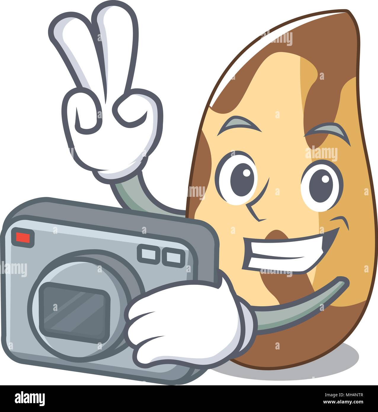 Photographer brazil nut mascot cartoon Stock Vector Image & Art - Alamy