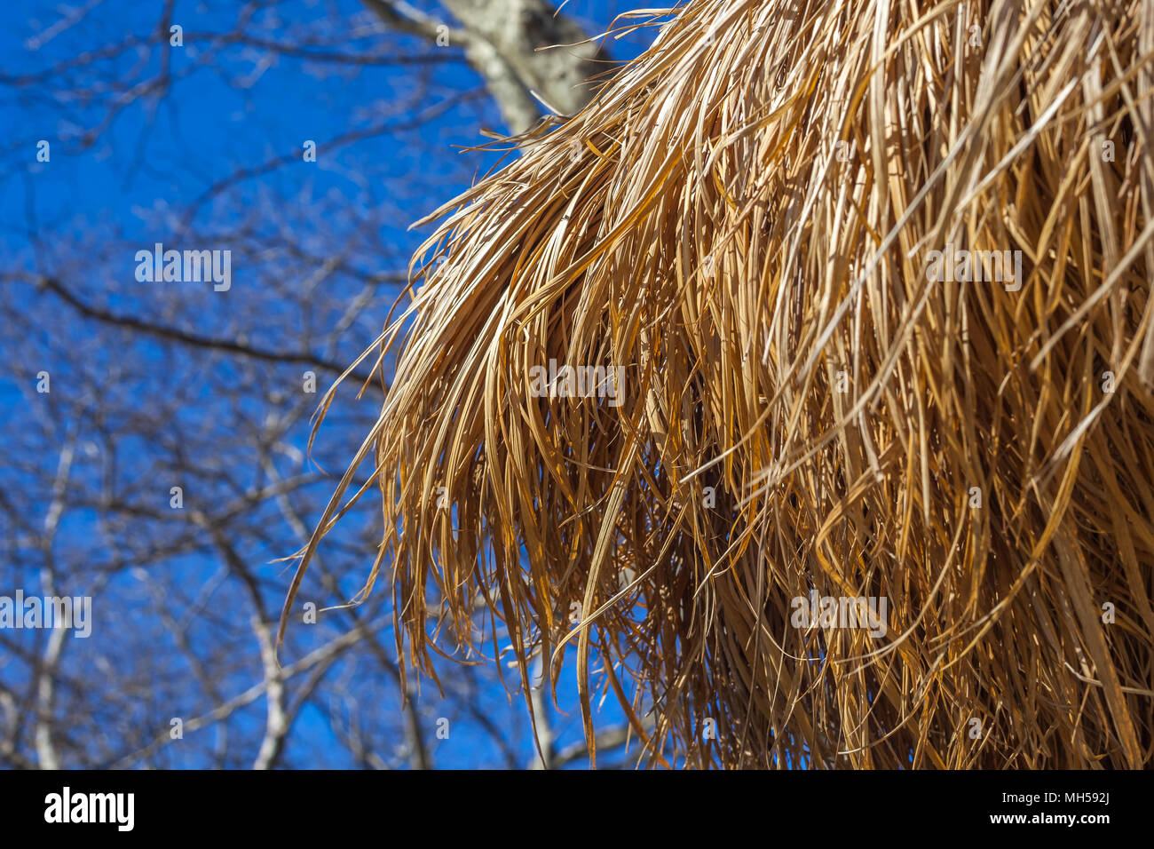 Wallpaper made from fall hi-res stock photography and images - Alamy