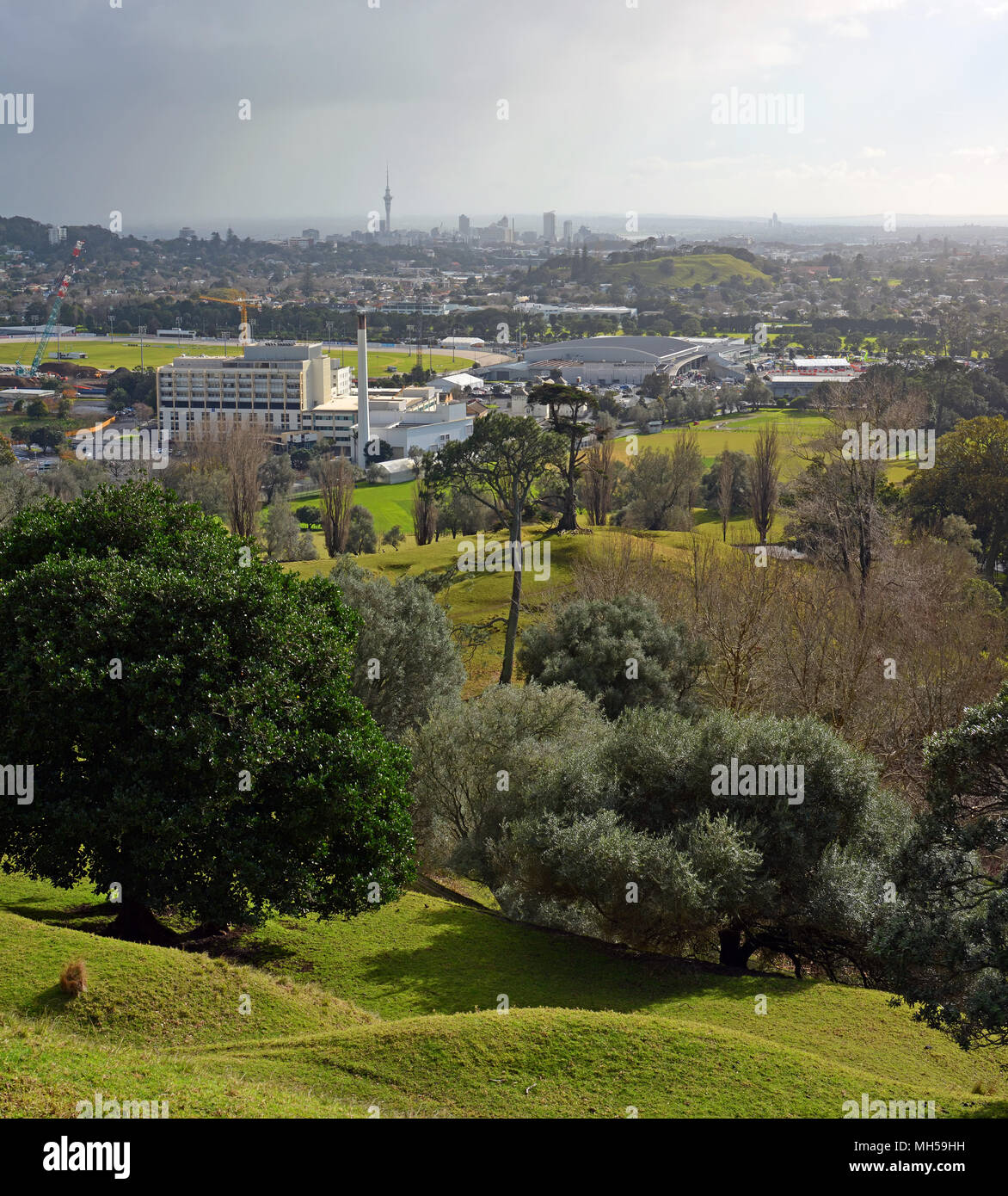 One tree hill new zealand hi-res stock photography and images - Alamy