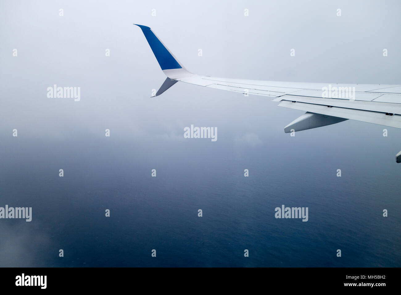 Wing water hi-res stock photography and images - Alamy