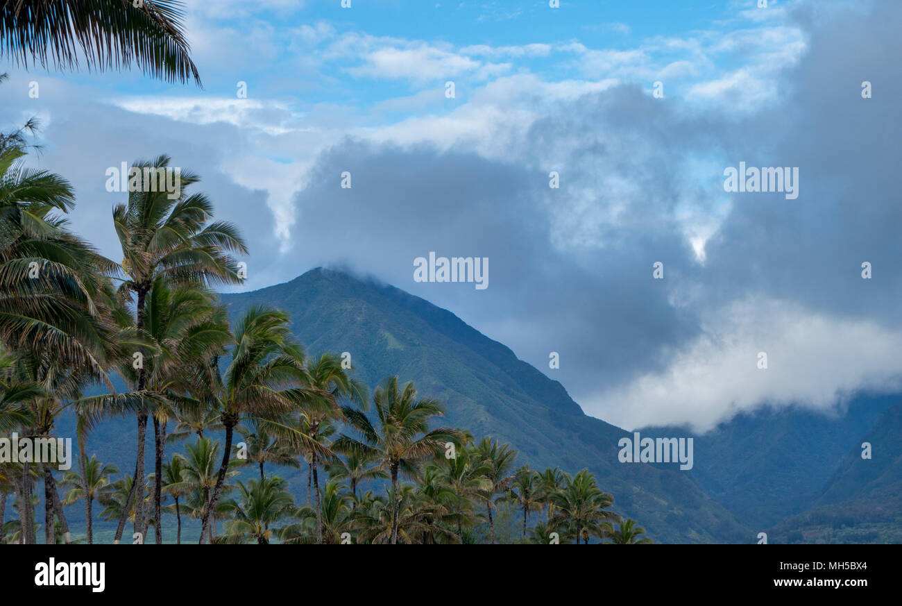 Kukui point hi-res stock photography and images - Alamy