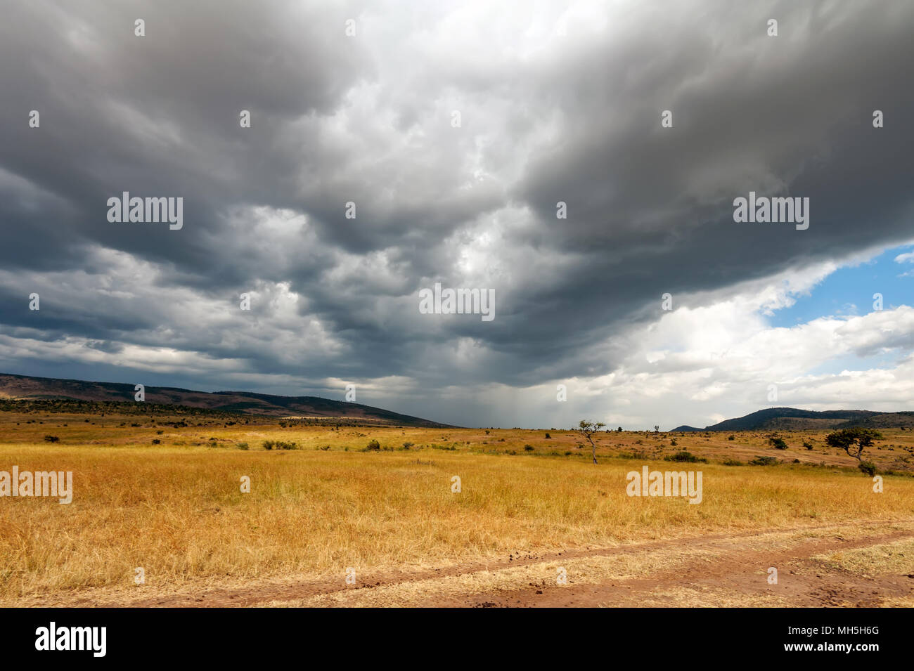 Savannah landscape in the National park of Kenya, Africa Stock Photo ...