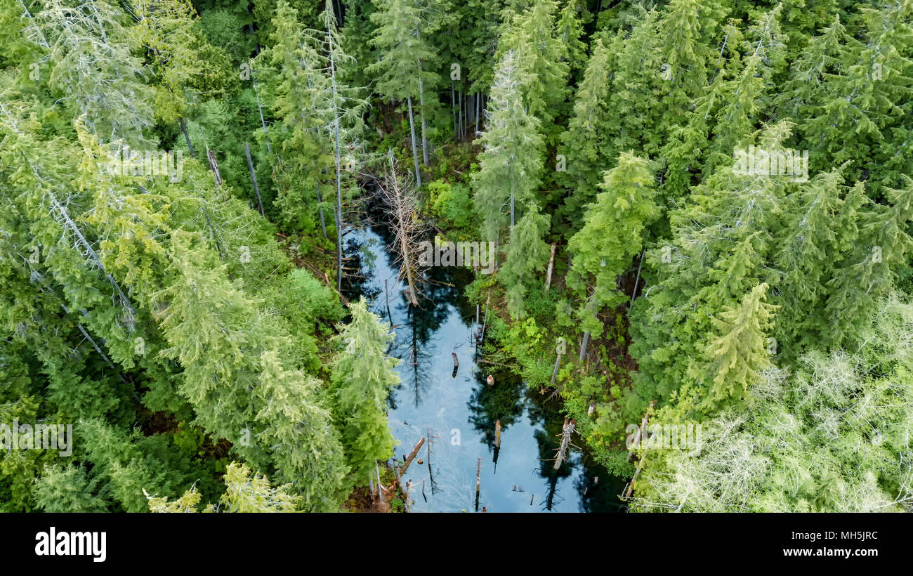 Natural beauty in Vancouver Island Series 2 - Very tiny but fresh and ...