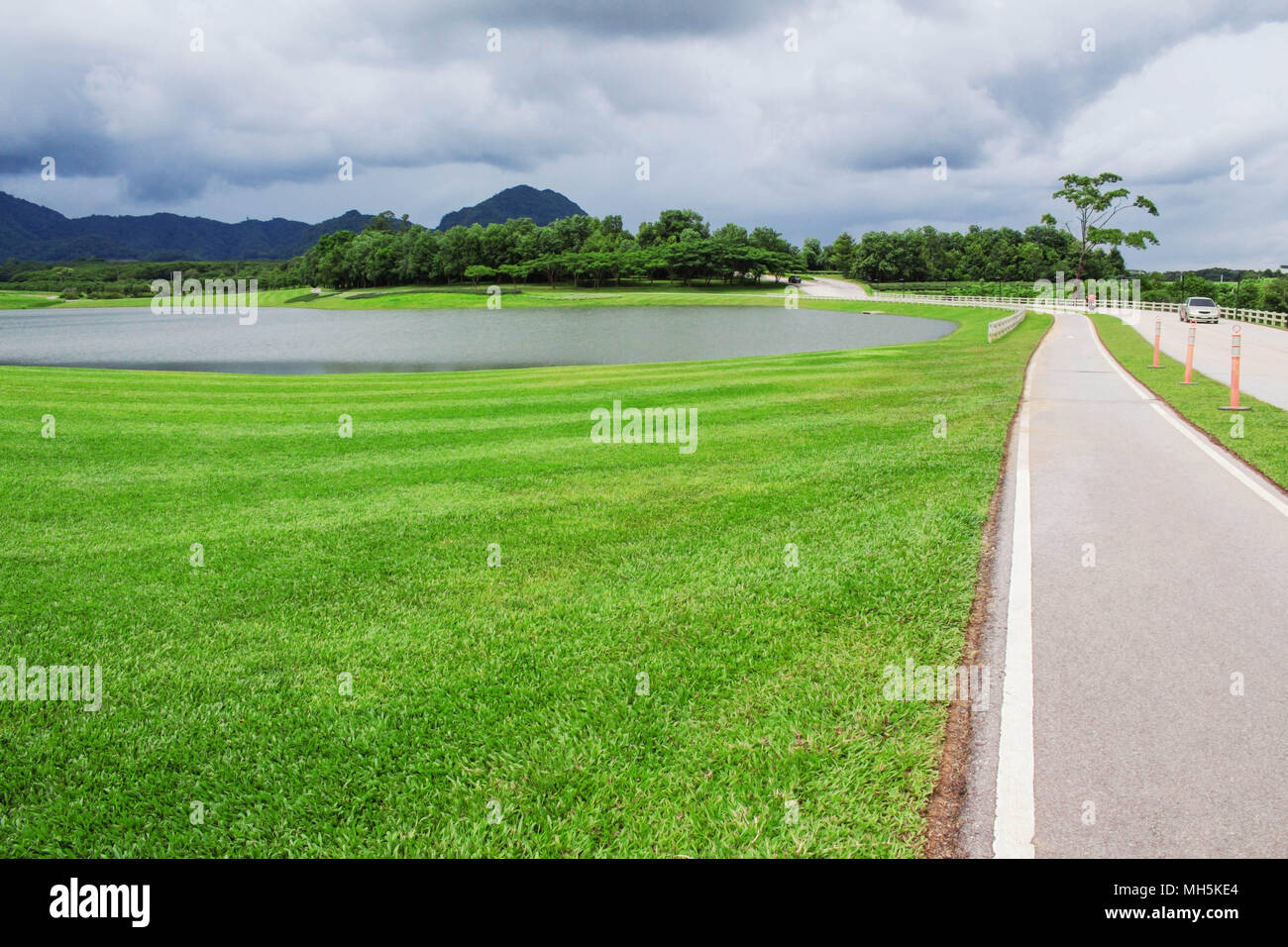 Lawn and pond with road in park Stock Photo - Alamy