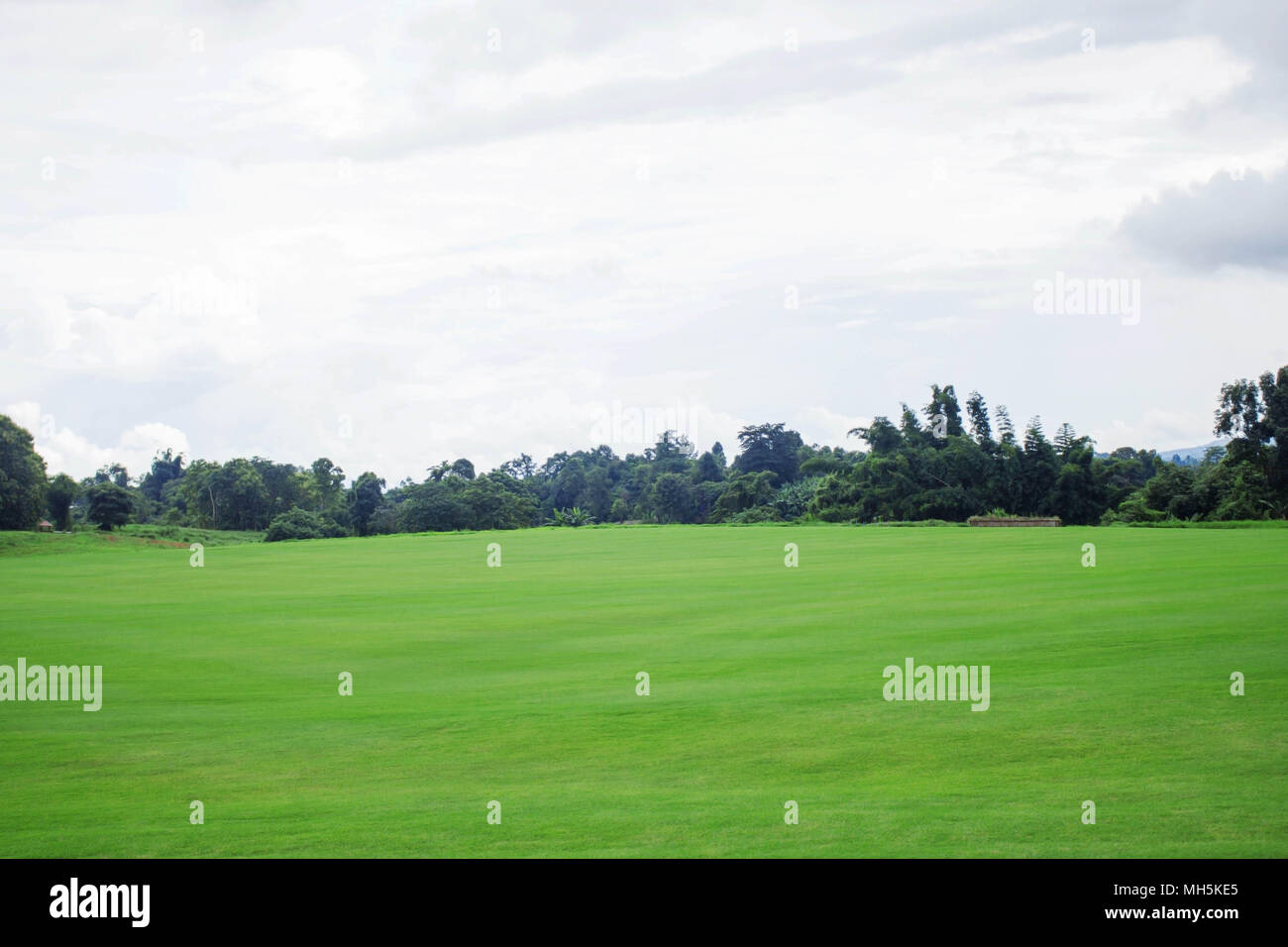 Lawn and white sky in the park Stock Photo - Alamy