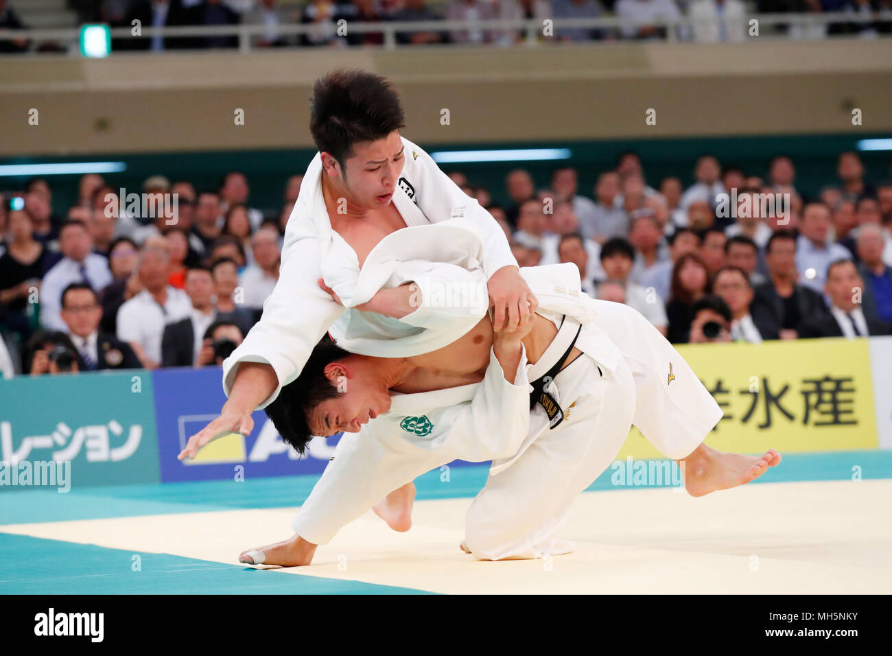 (Top- Bottom) Kentaro Iida, Hayato Watanabe, APRIL 29, 2018 Judo : 2018 ...