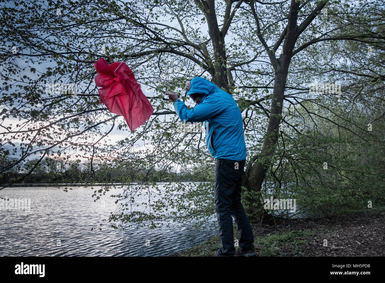 Man with red umbrella on windy/stormy day. UK Stock Photo - Alamy