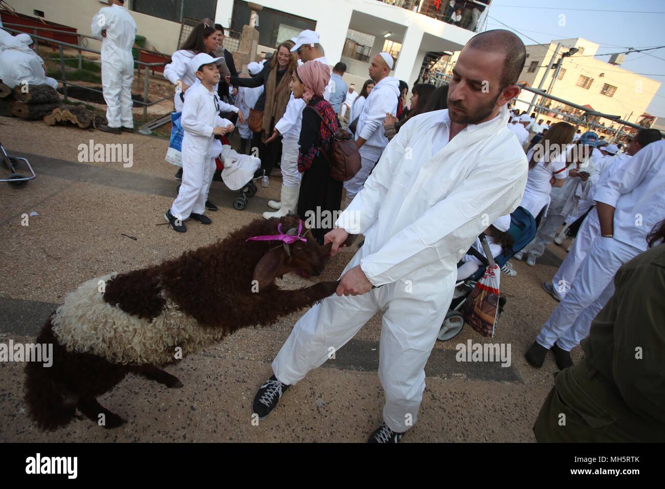 Passover lamb hi-res stock photography and images - Alamy