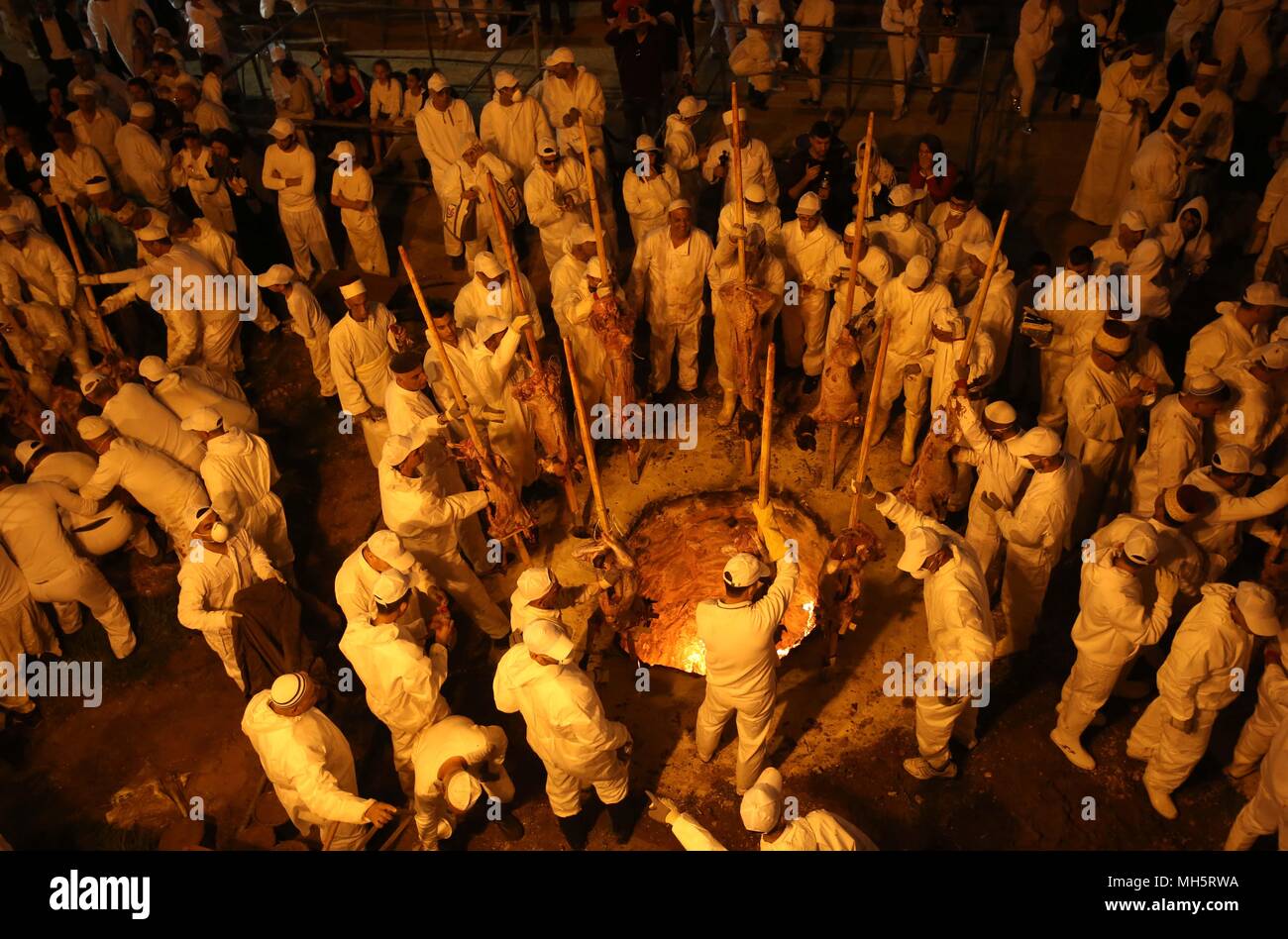 Members of the Samaritan community cook Passover Lambs inside blazing ...