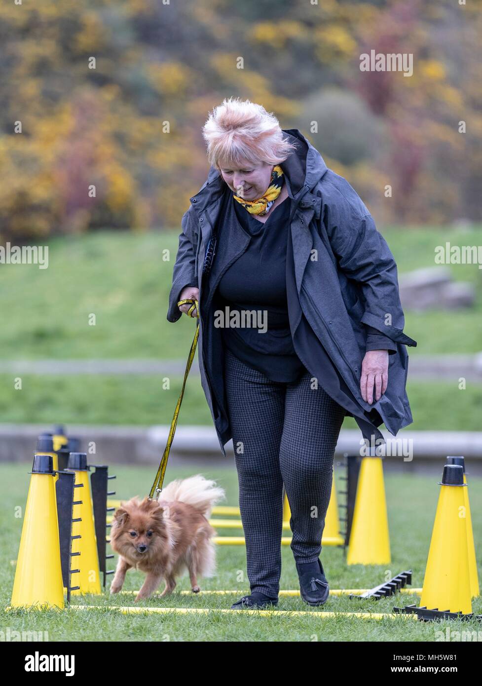 Edinburgh, UK. 30th April 2018. Politicians and their dogs demonstrate ...