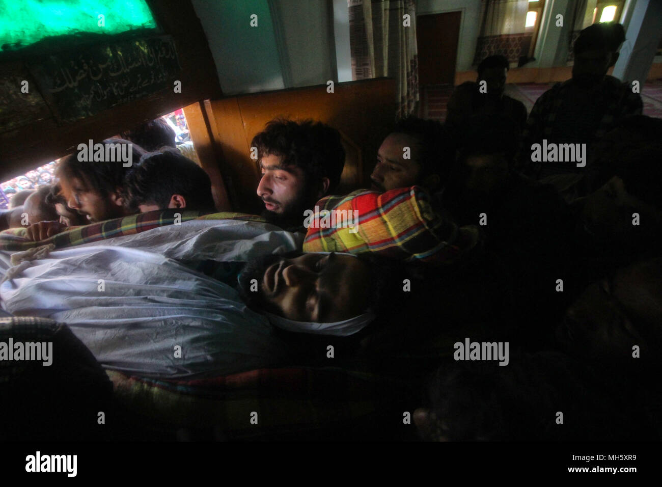 Sameer tiger hi-res stock photography and images - Alamy