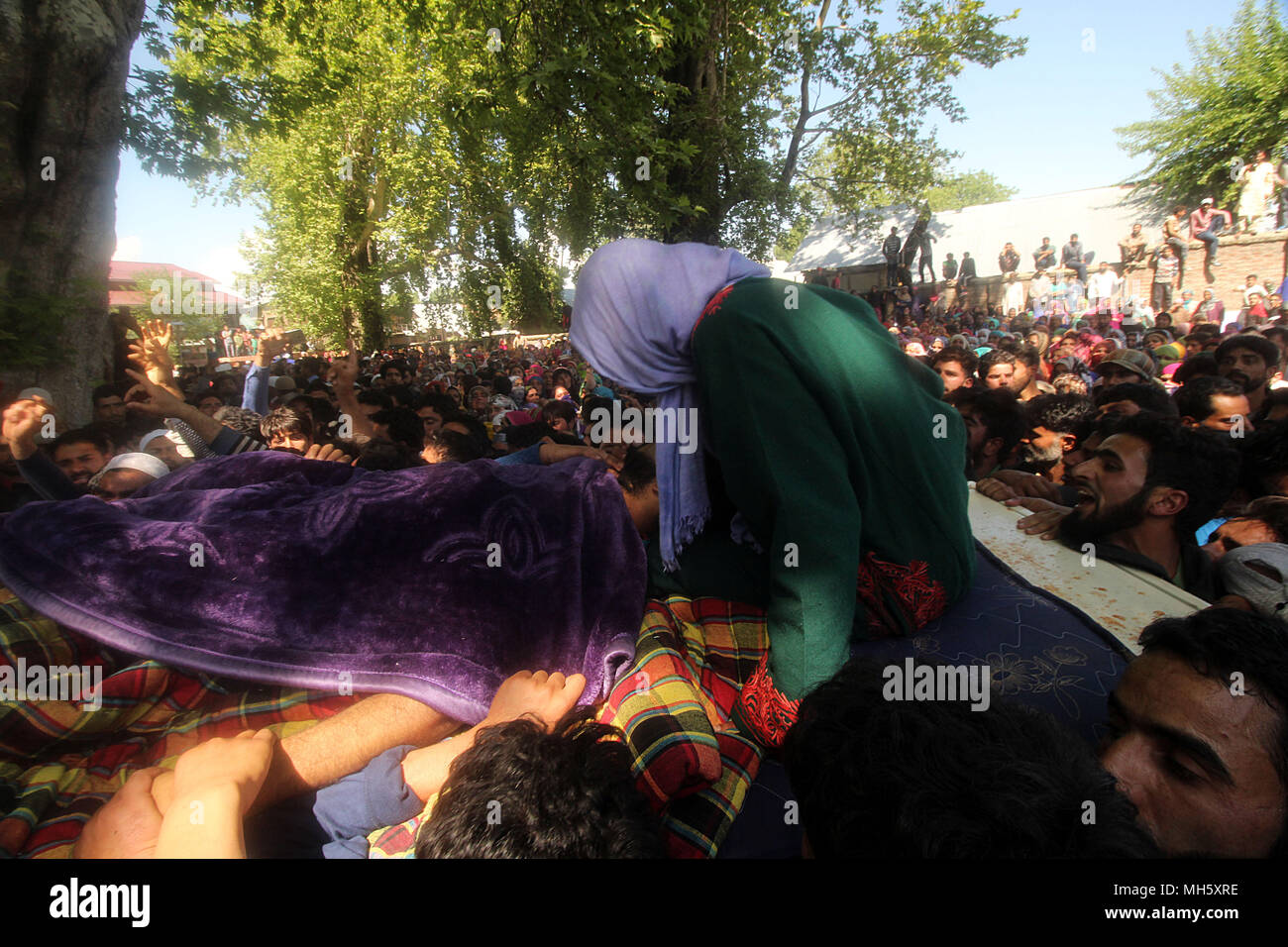 Rebels sameer tiger hi-res stock photography and images - Alamy