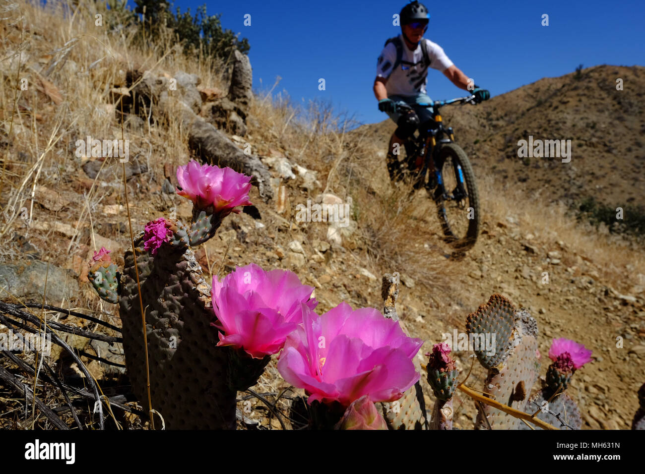 Santa rosa indian reservation hi-res stock photography and images - Alamy