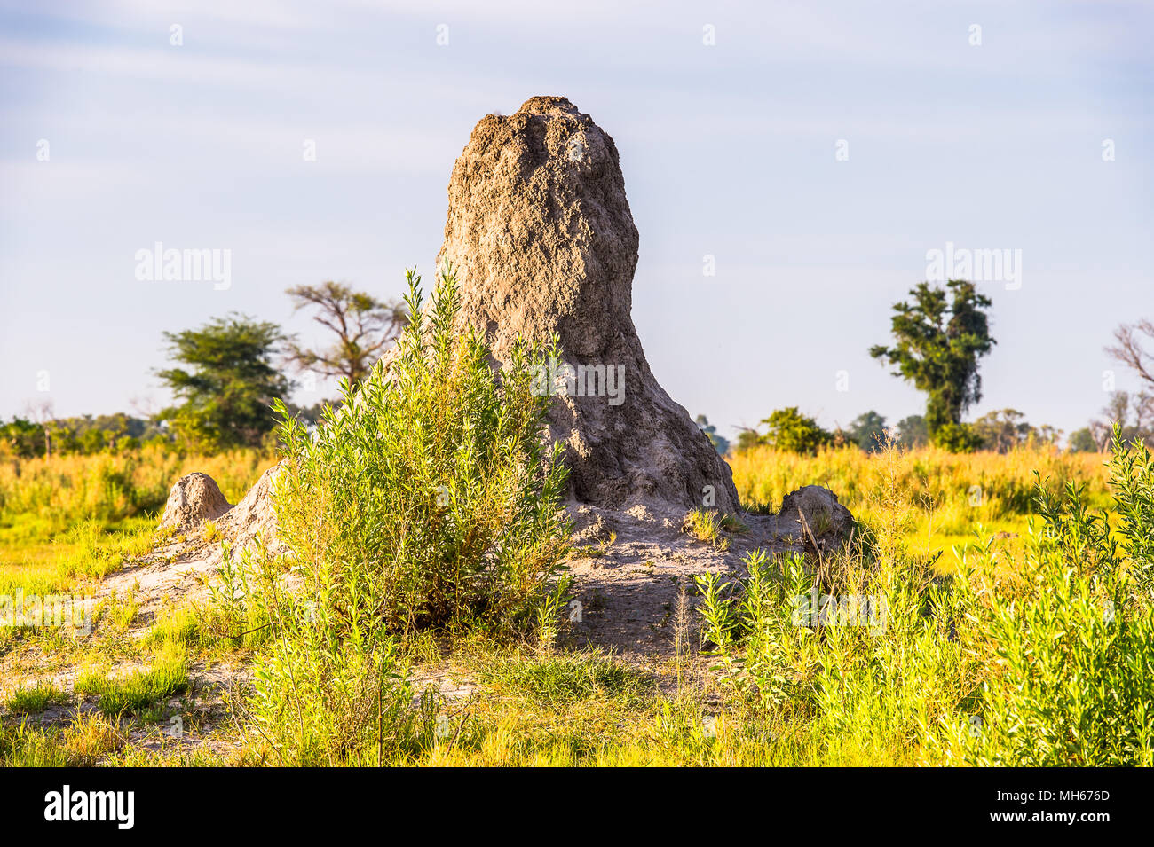 Landscape of the Okavango Delta (Okavango Grassland), One of the Seven ...