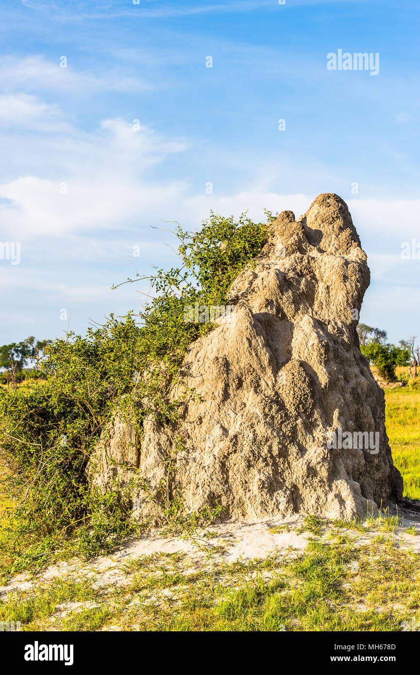 Landscape of the Okavango Delta (Okavango Grassland), One of the Seven ...
