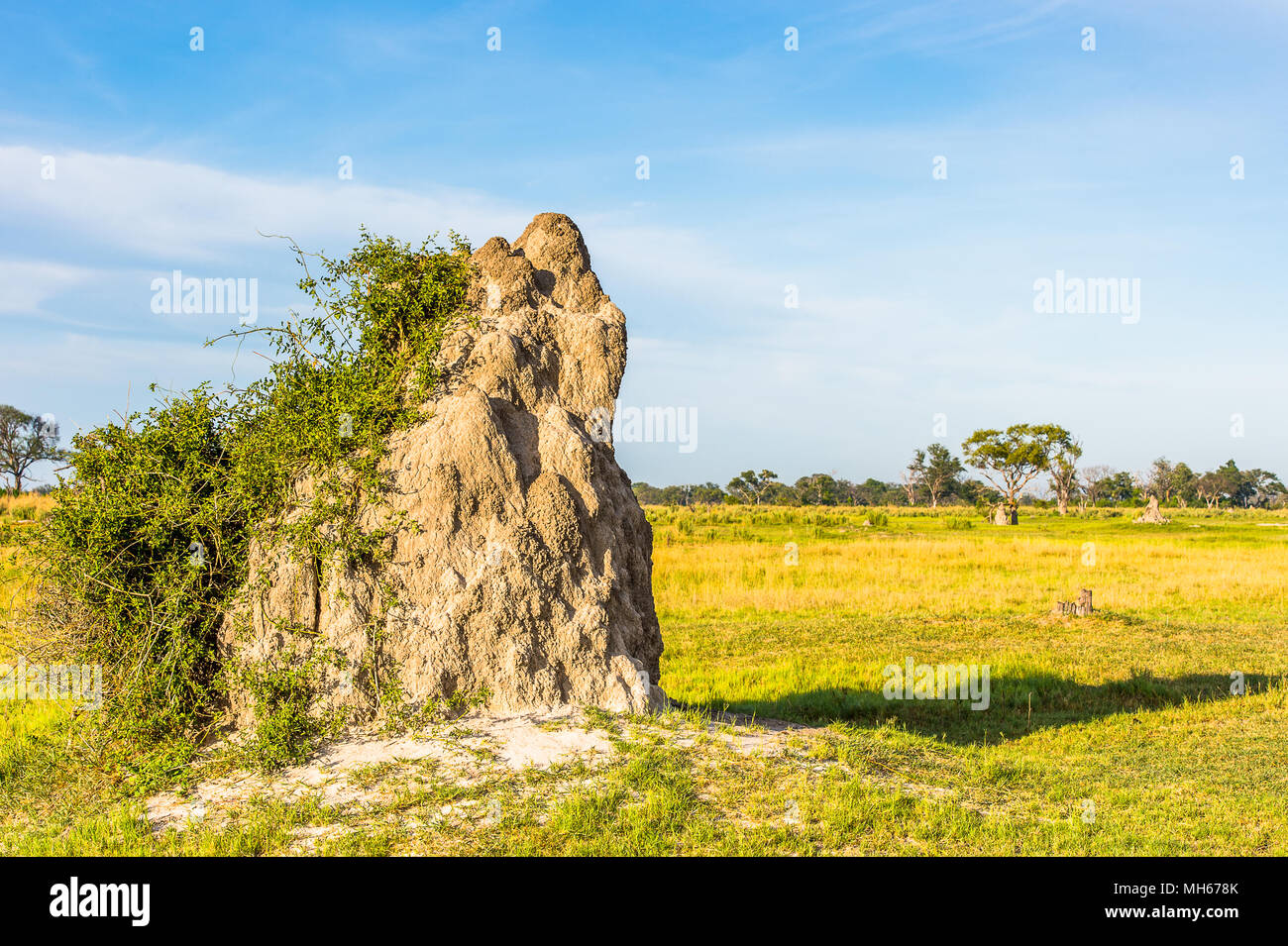 Landscape of the Okavango Delta (Okavango Grassland), One of the Seven ...