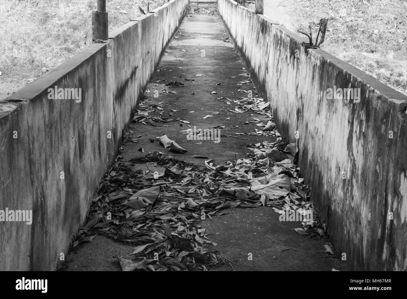 Walk a way Black and White Stock Photos & Images - Alamy