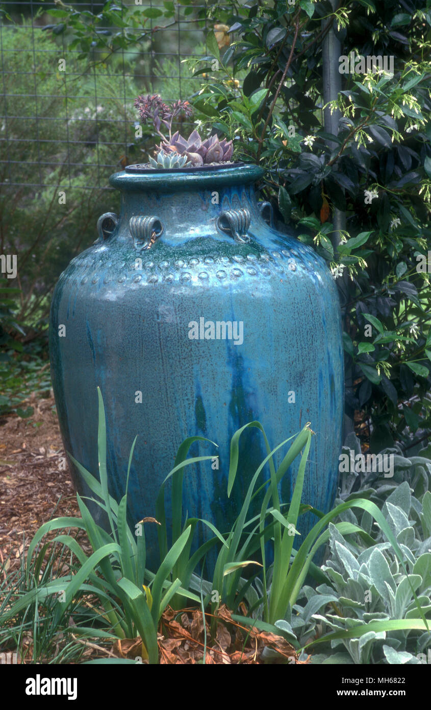 Assorted plants hi-res stock photography and images - Alamy