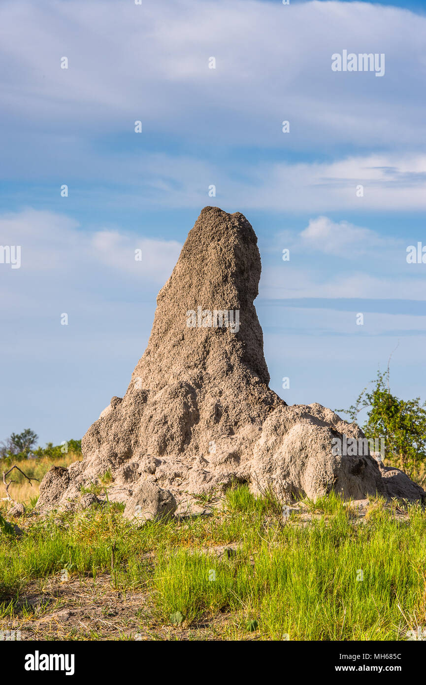 Landscape of the Okavango Delta (Okavango Grassland), One of the Seven ...