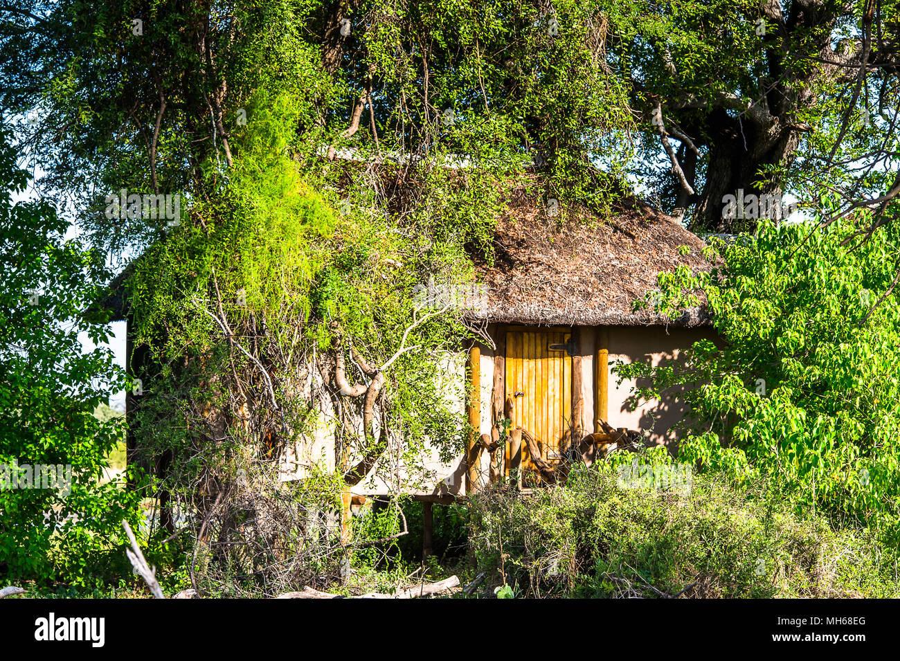 Landscape of the Okavango Delta (Okavango Grassland), One of the Seven ...