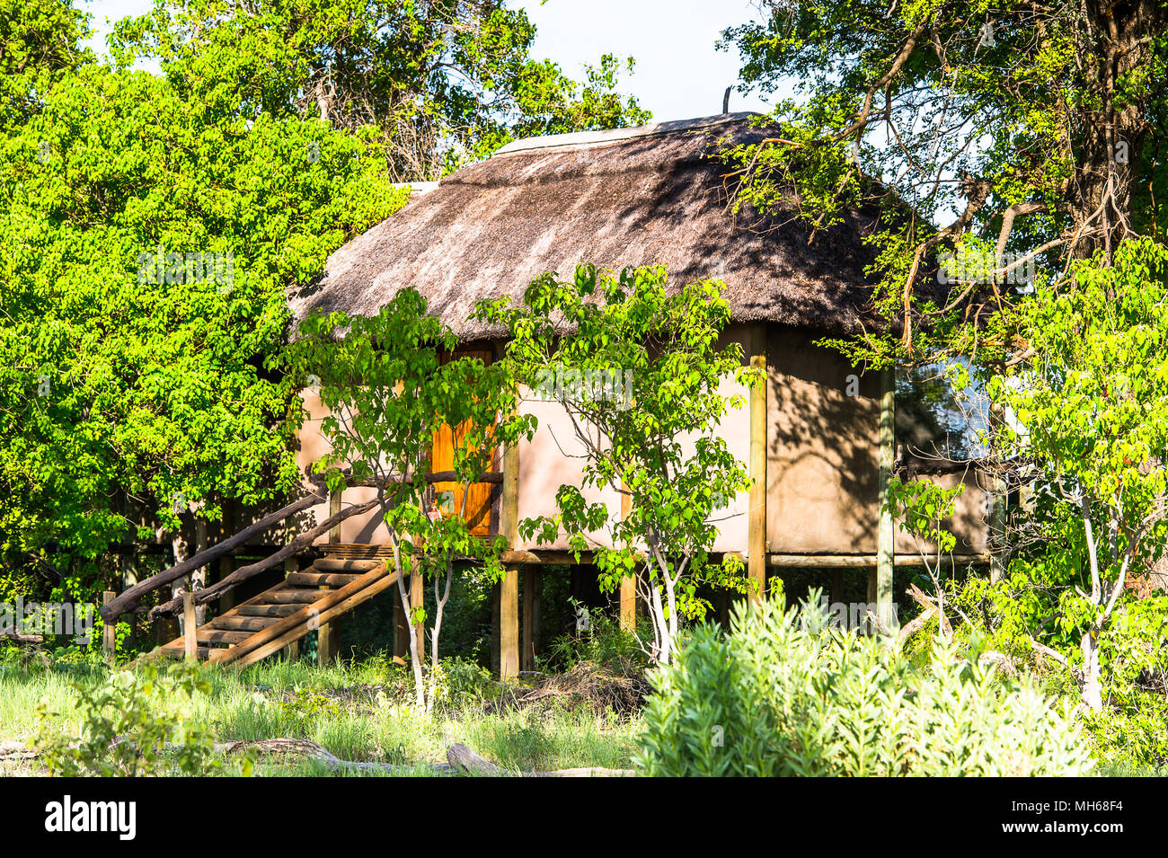 Landscape of the Okavango Delta (Okavango Grassland), One of the Seven ...